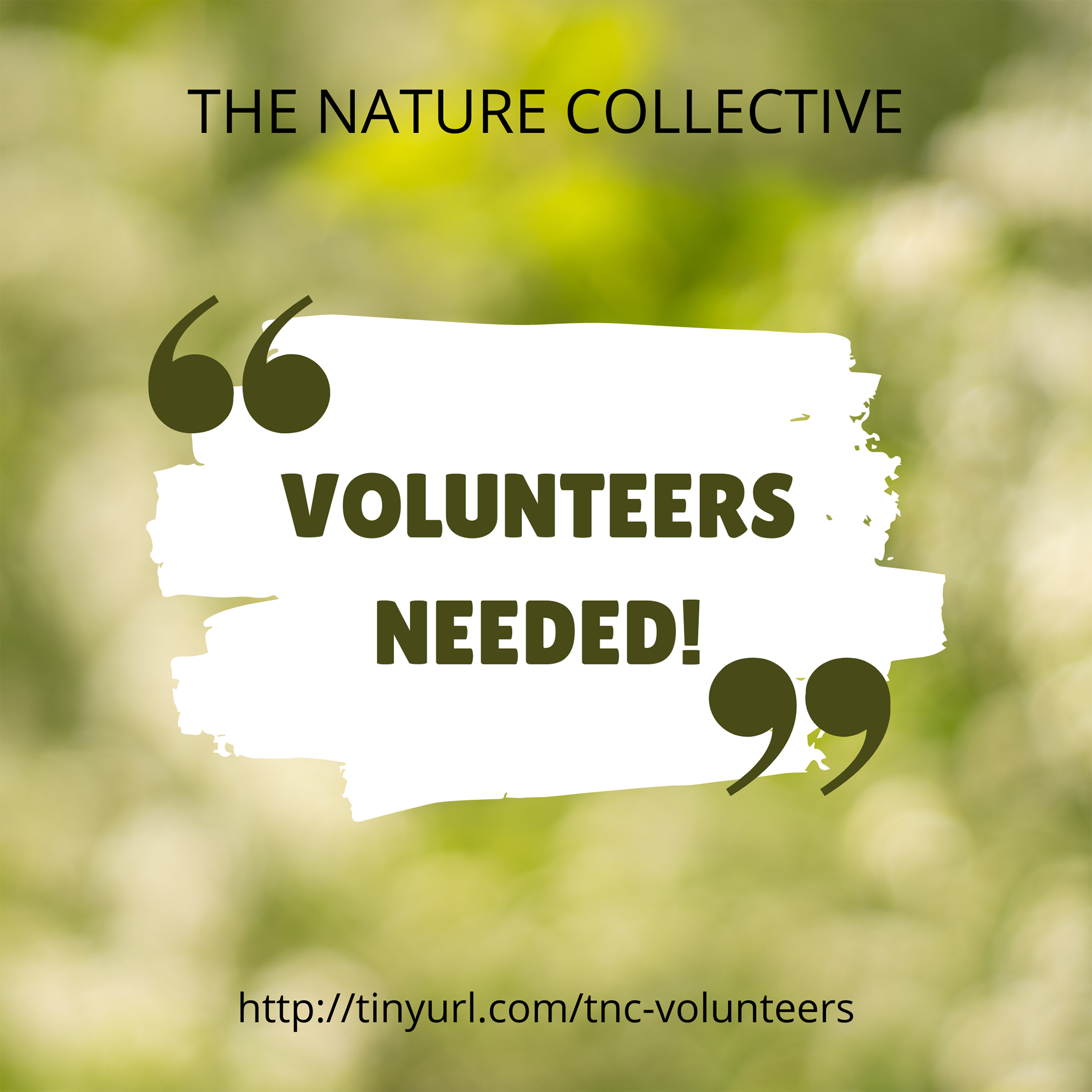 Want to Join our Team?